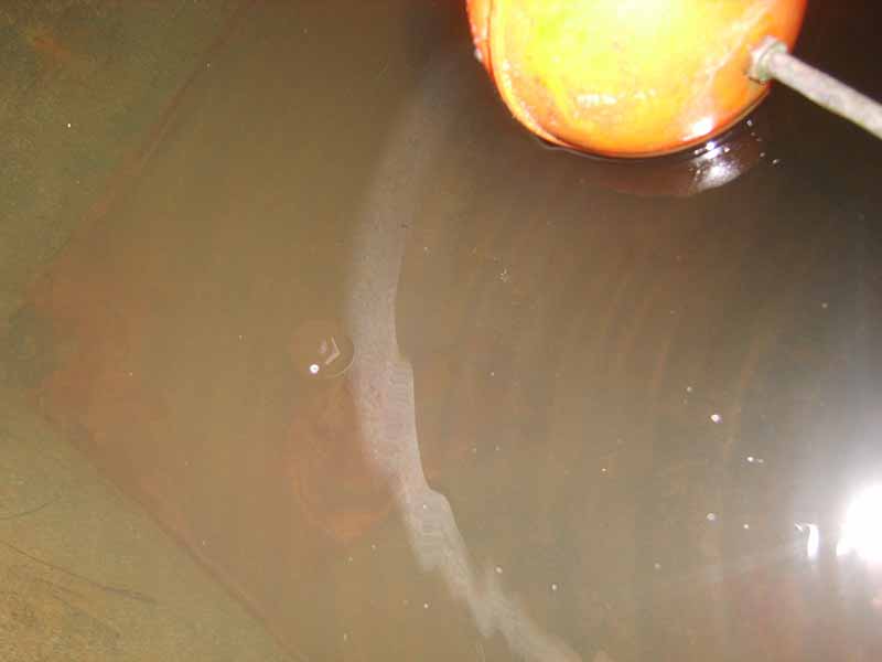 Dangers of unmaintained water tanks | WET Services